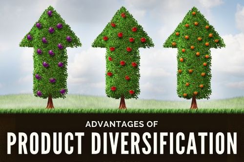 Unlocking Potential: The Advantages of Product Diversification