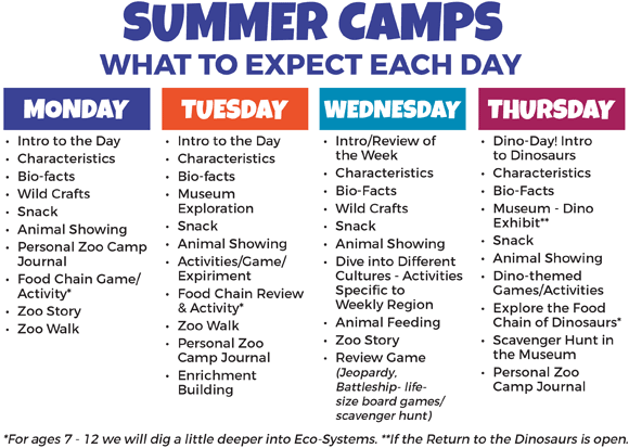 Summer Camps