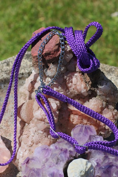 Show Leads & Collars for Dogs | Dragon Leads