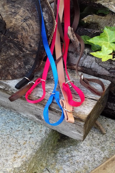 Slip Leads for Dogs | Dragon Leads