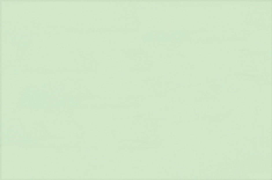 Very Pale Mint Jersey