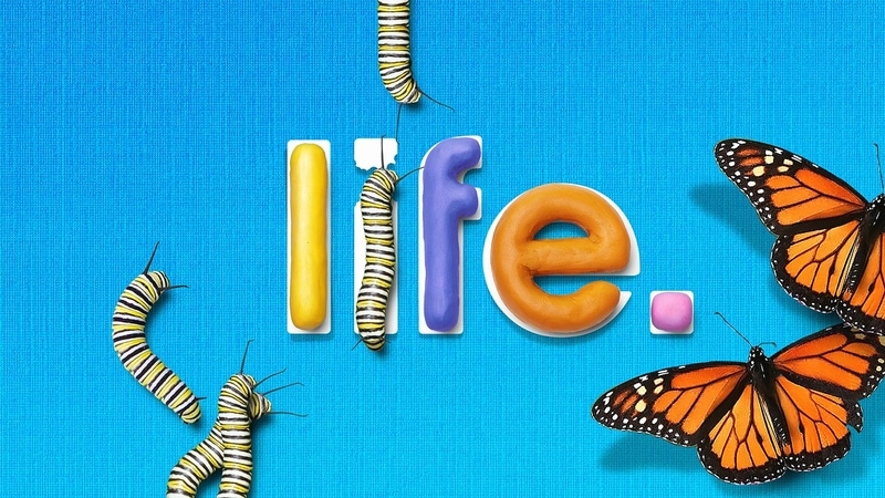 Goodstart Early Learning Rebrand | The Garden Agency