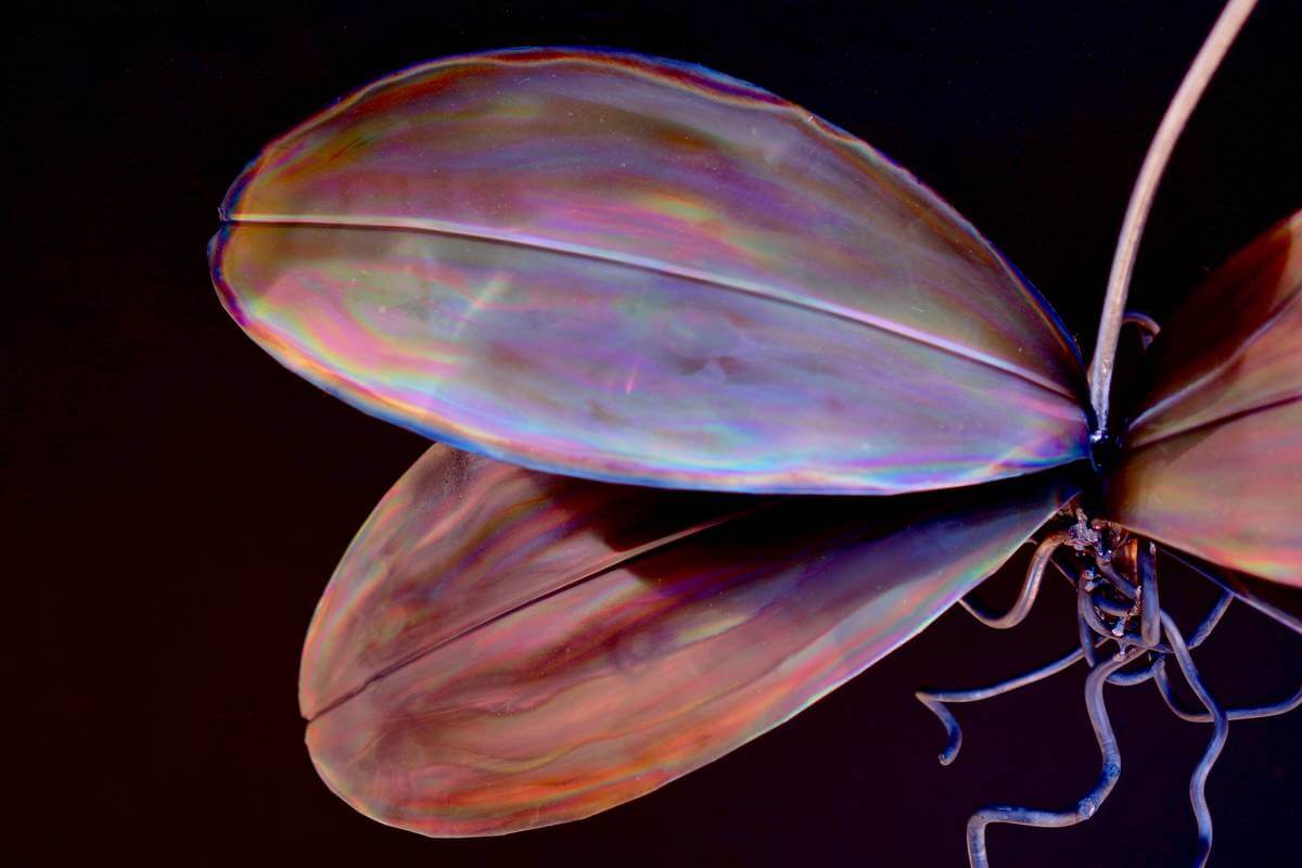 Metal Sculpture: Orchid