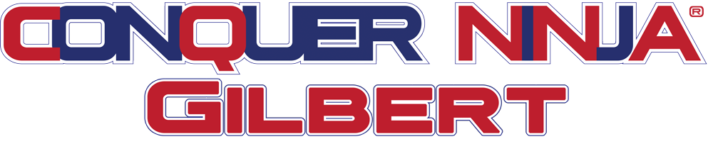 Conquer Ninja Warrior Site Update