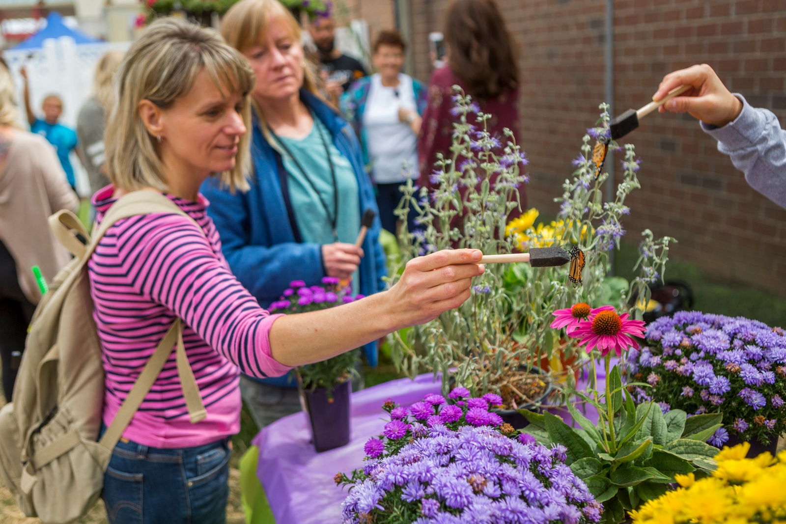 Cabarrus County Fair