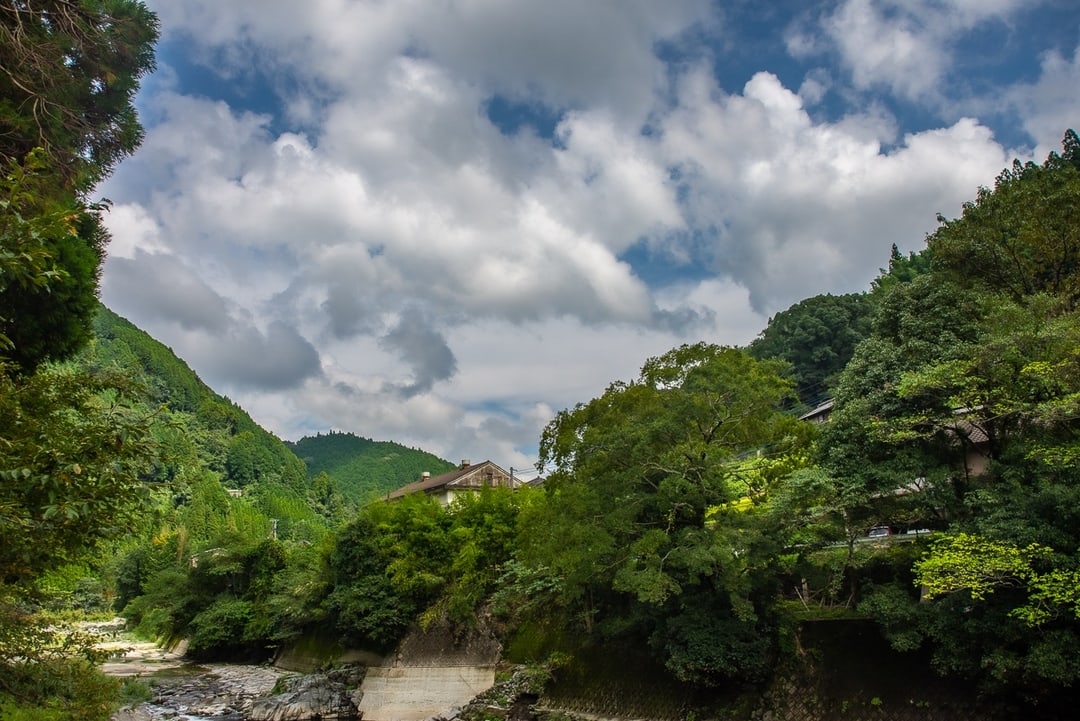 Yame Tea 600 Years - The secrets of the hidden green tea valley