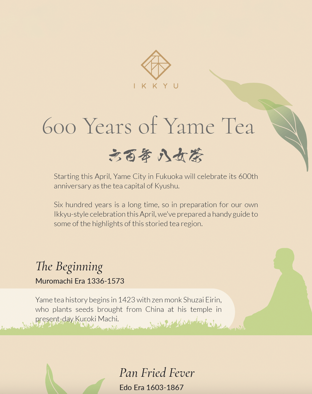 Yame Tea 600 Years - The secrets of the hidden green tea valley
