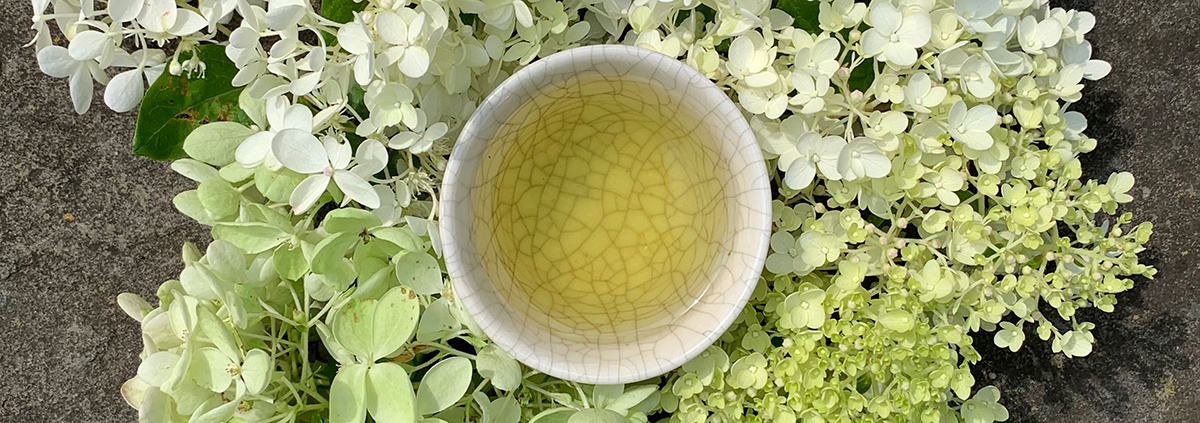 MIRAI: Tea Tasting by Alex Ahearn