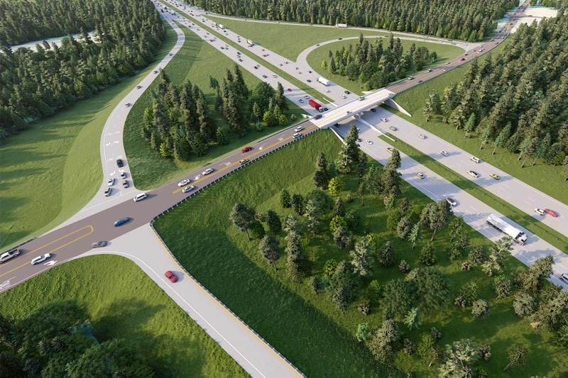 Van Dyke Peanut Roundabout