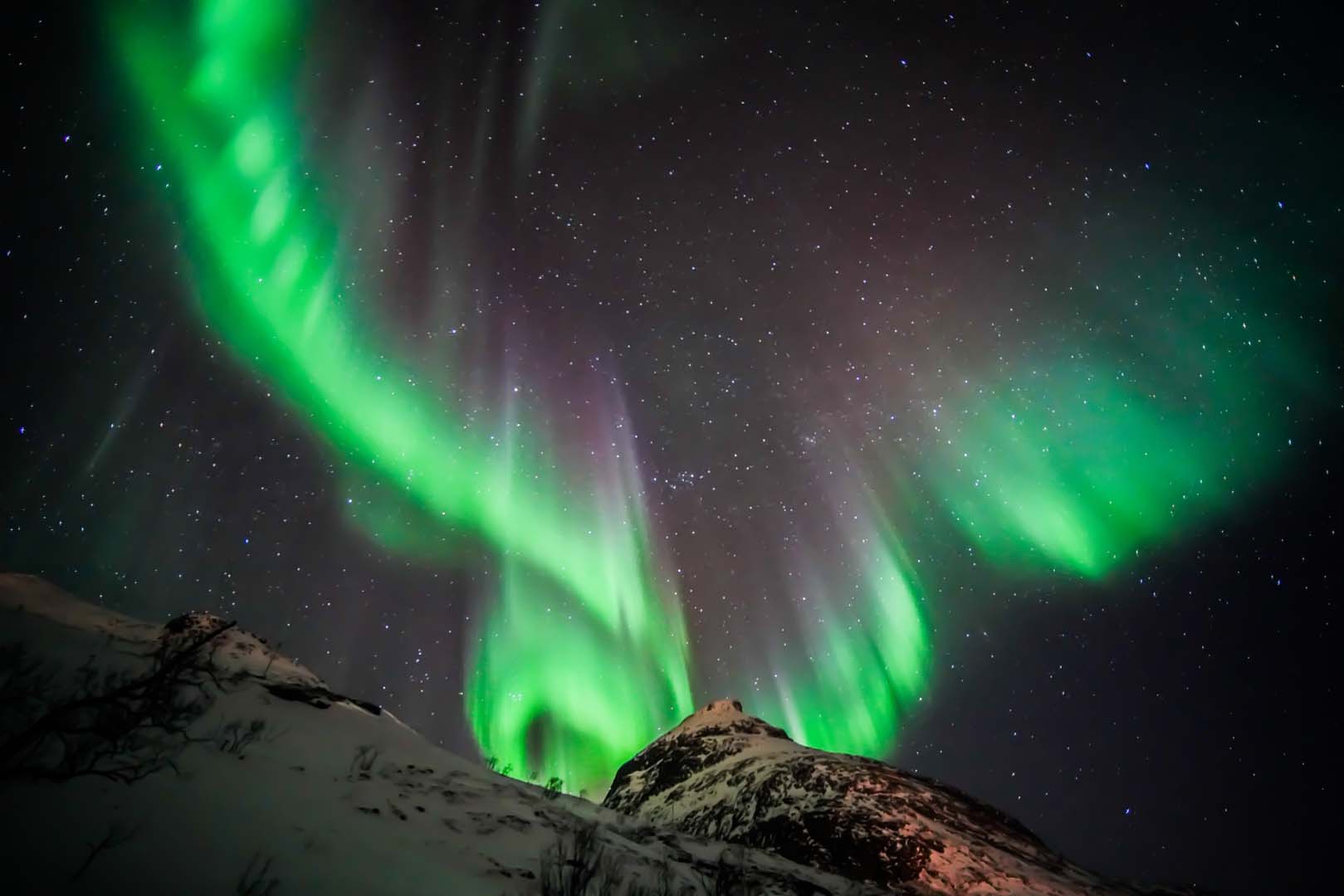 Arctic Breeze