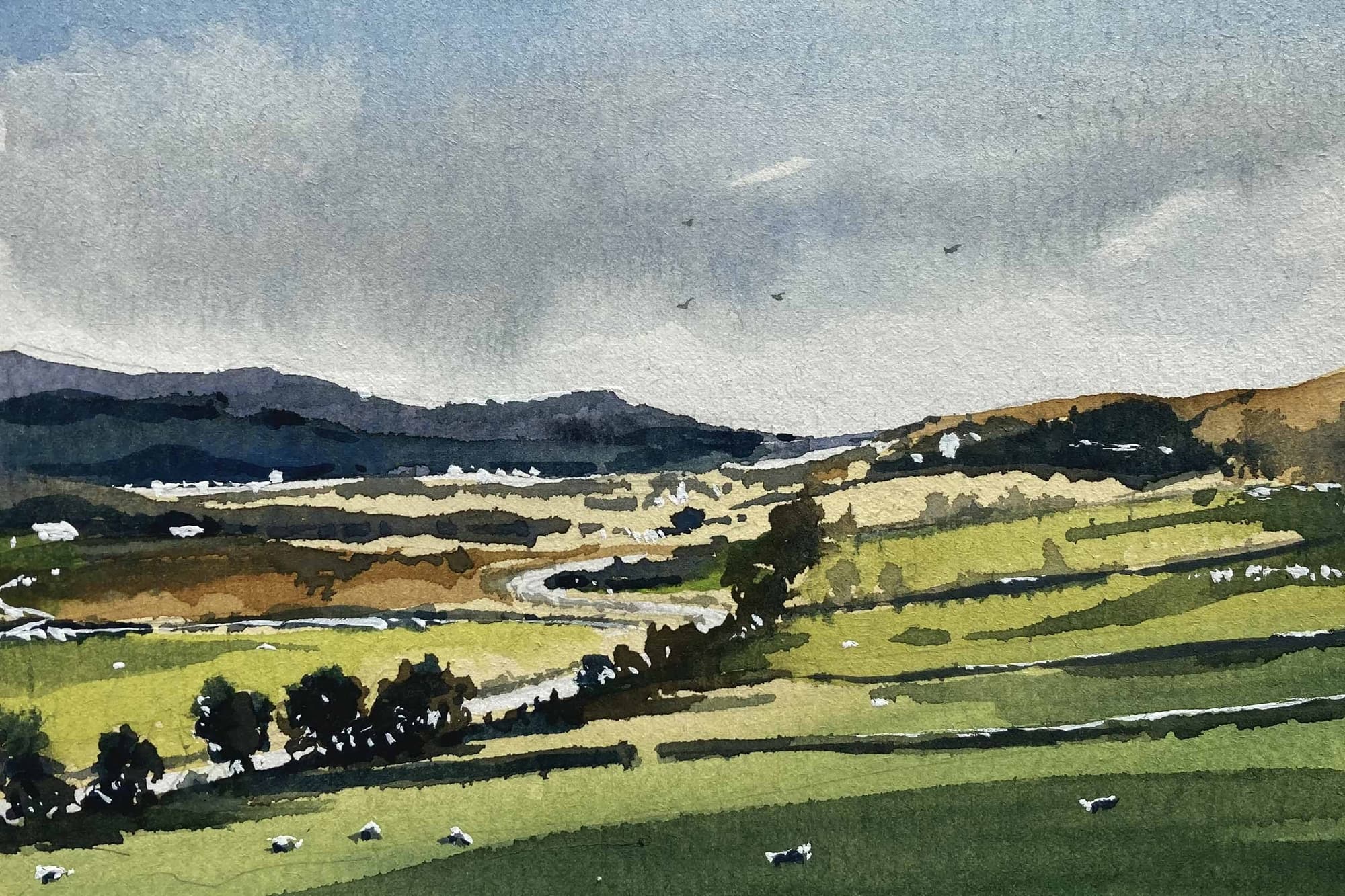 Web Designer, Peebles, Scottish Borders | John Hamlin