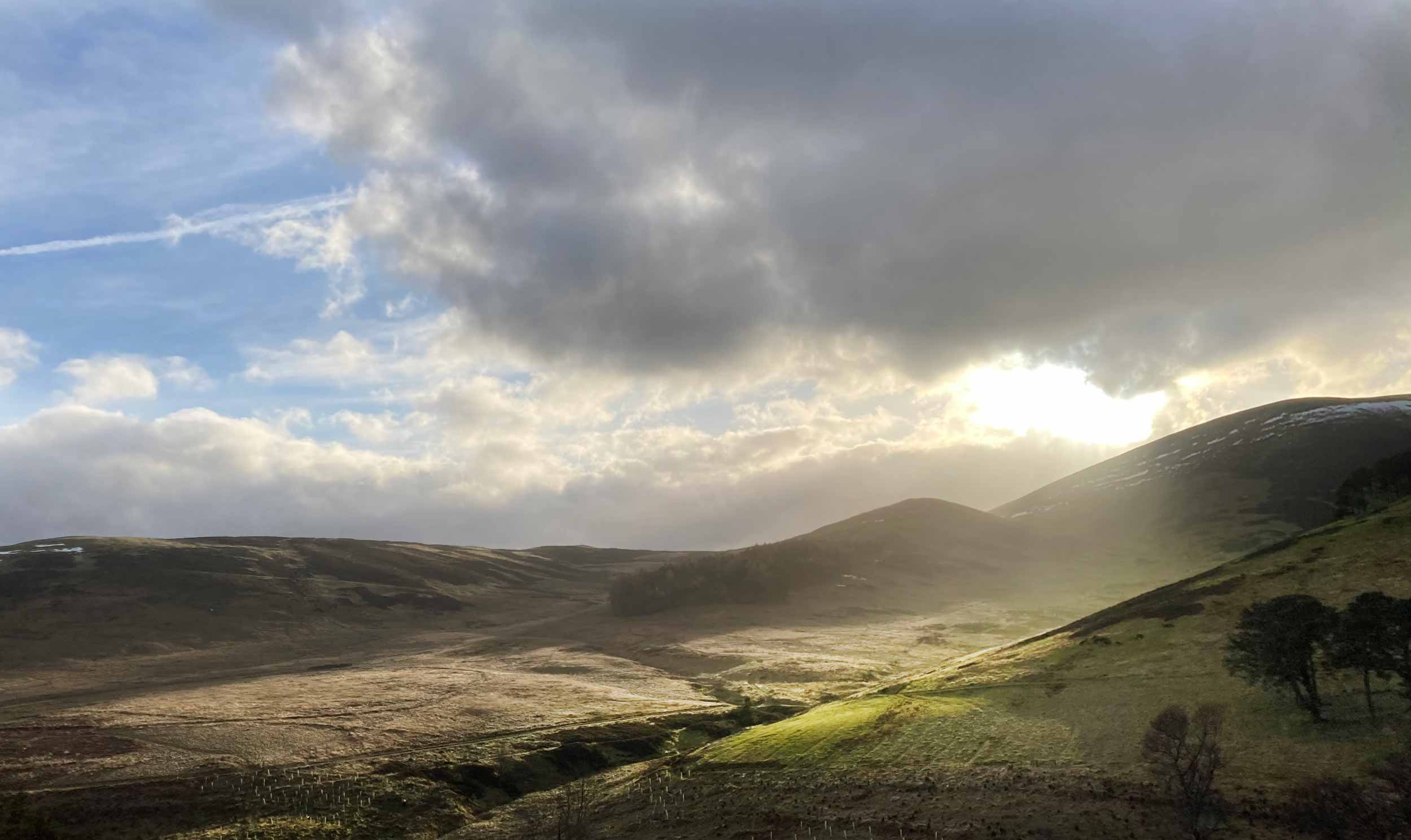 Glorious Nature | John Hamlin