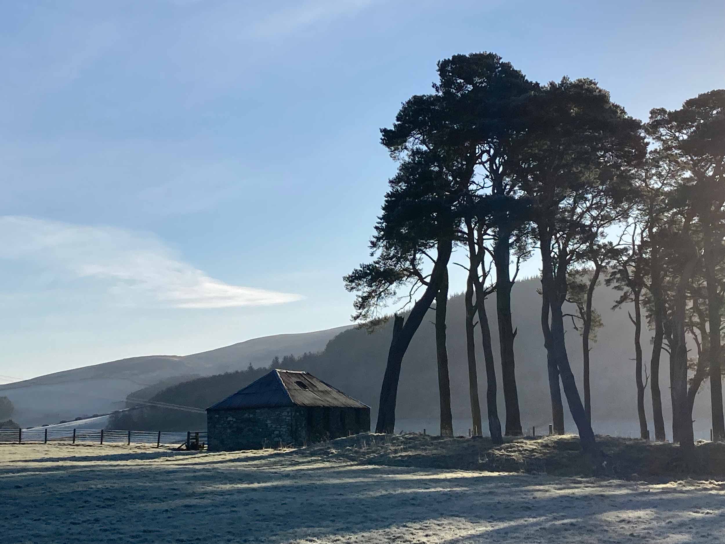 Glorious Nature | John Hamlin