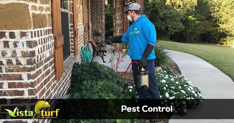 Pest Control Services - Vista Turf