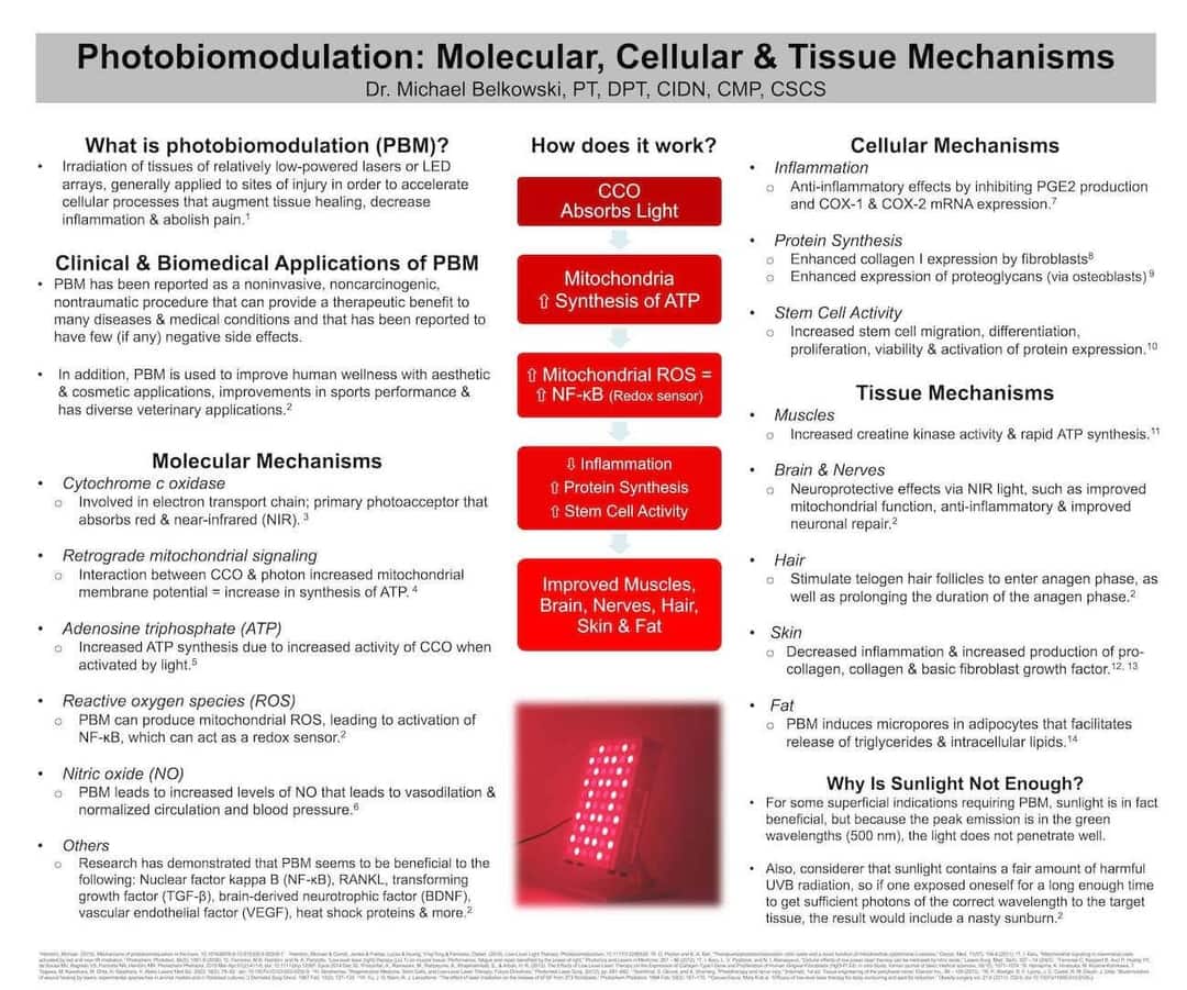 Photobiomodulation Therapy