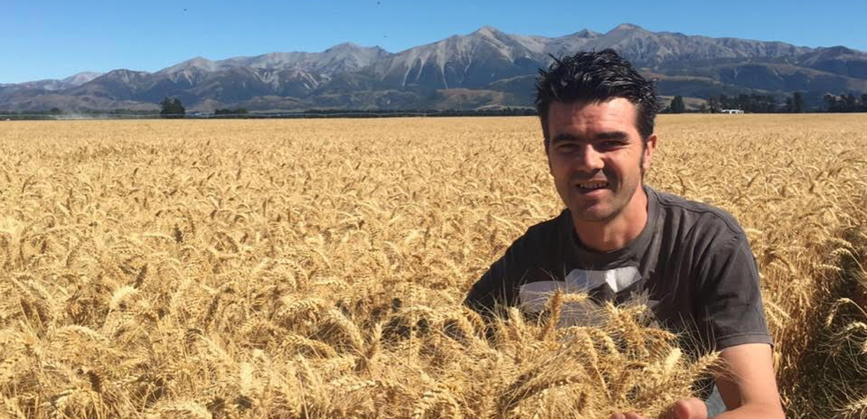 Parkview Helensville