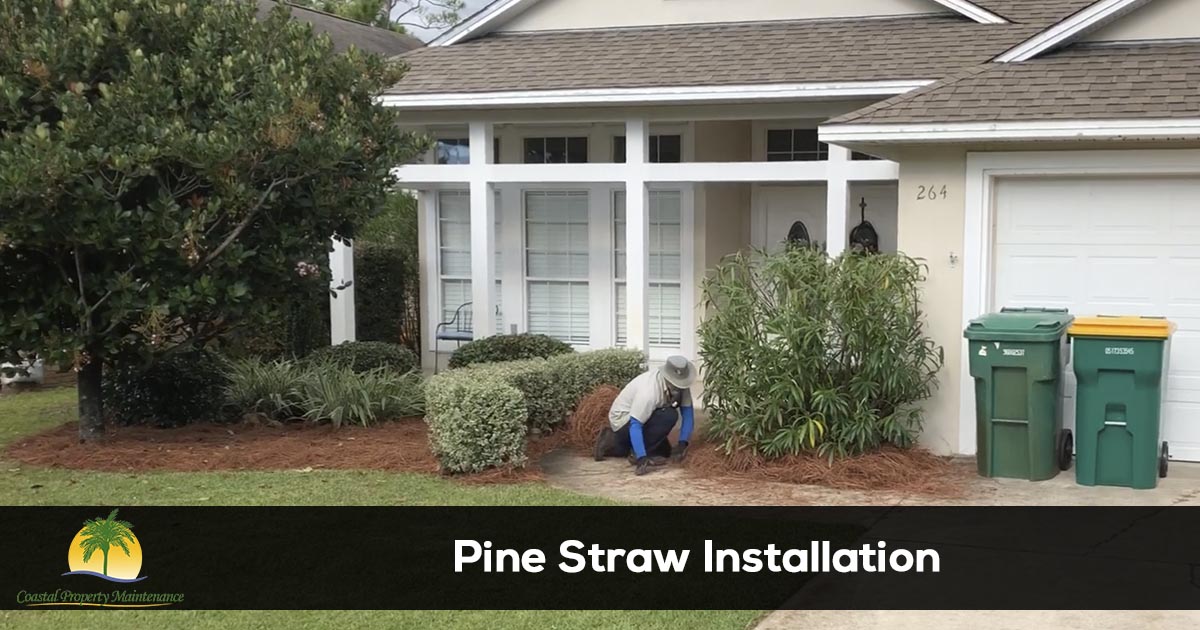 Pine Straw / Pine Needle Mulch Installation | CPM Lawn Care