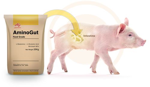 AminoGut
