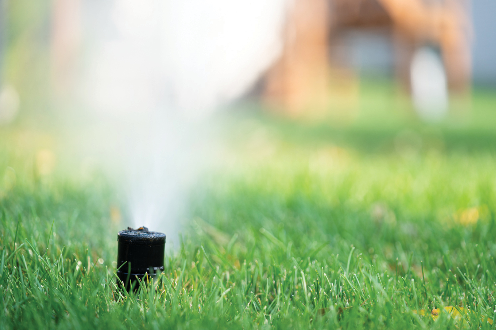 Red Dot Advertising + Design | Red Dot Turns 20!