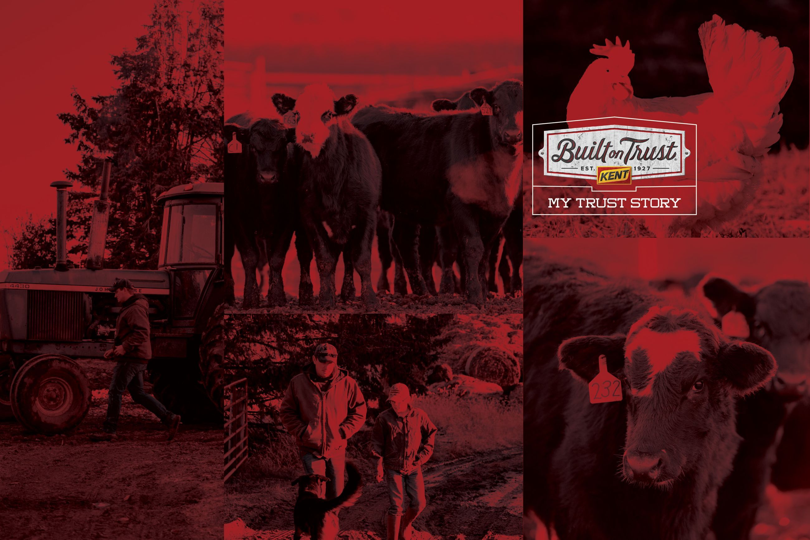 Red Dot Advertising + Design | West Des Moines, Iowa