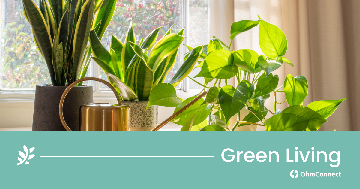 Green Living | Practical eco-friendly advice | OhmConnect Blog