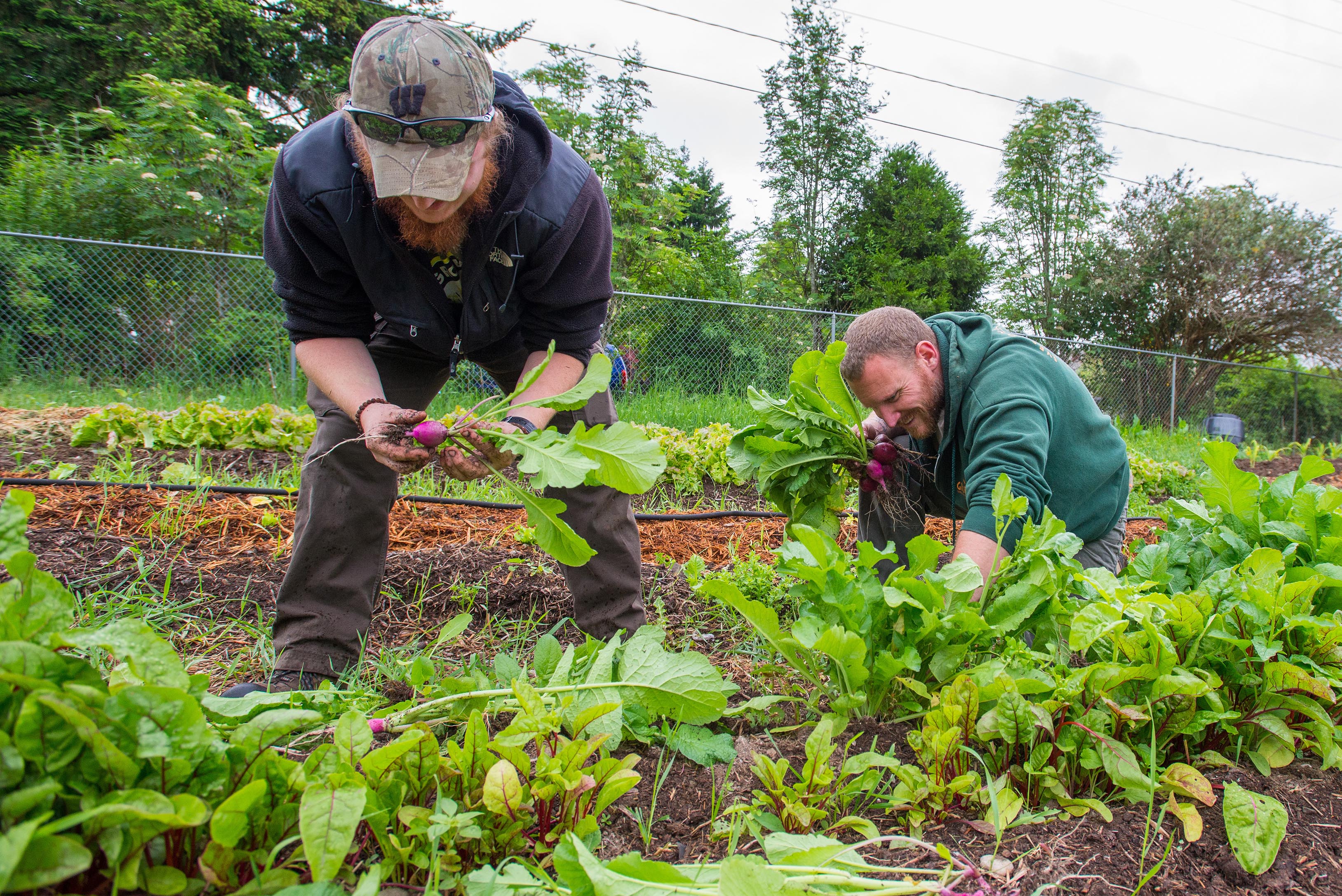 GRuB: Garden Raised Bounty