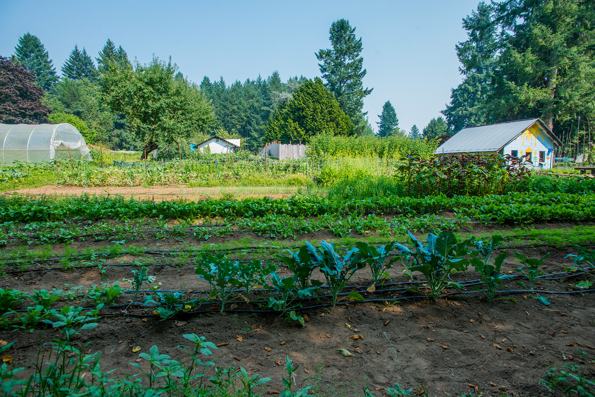 GRuB: Garden Raised Bounty