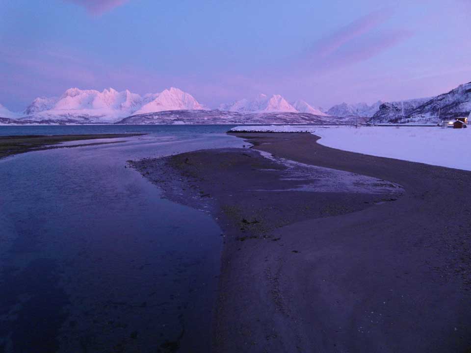Polar Adventures - Let us tailor your adventures!