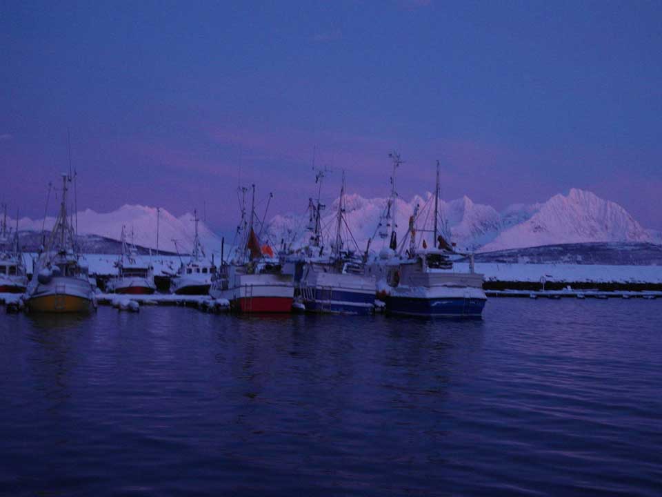 Polar Adventures - Let us tailor your adventures!