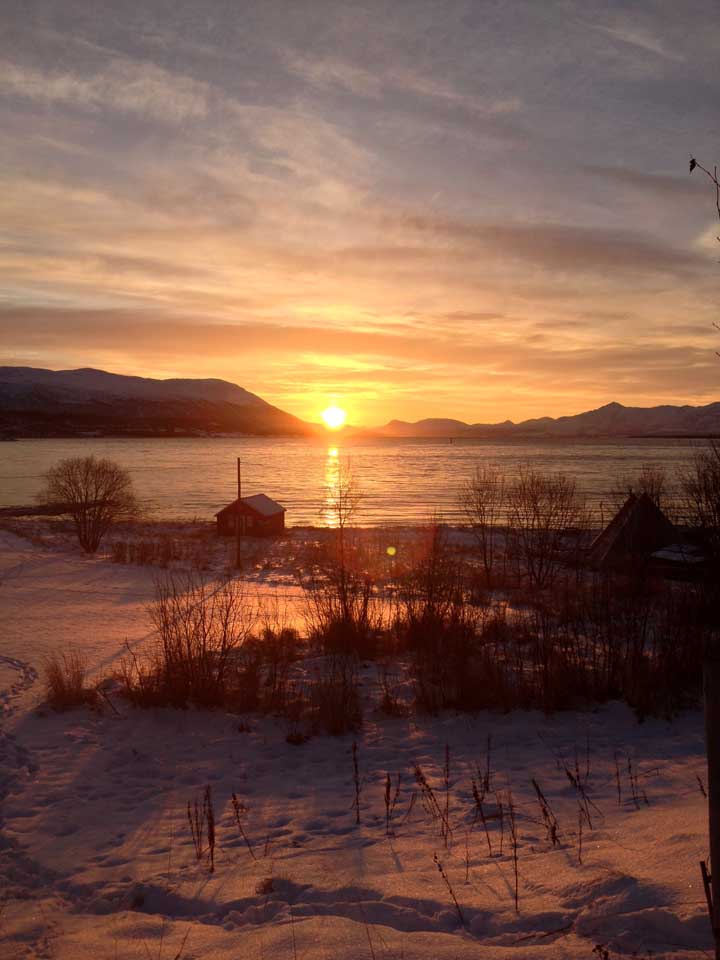 Polar Adventures - Let us tailor your adventures!