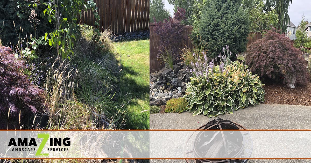 Our Work | Amazing Lawns