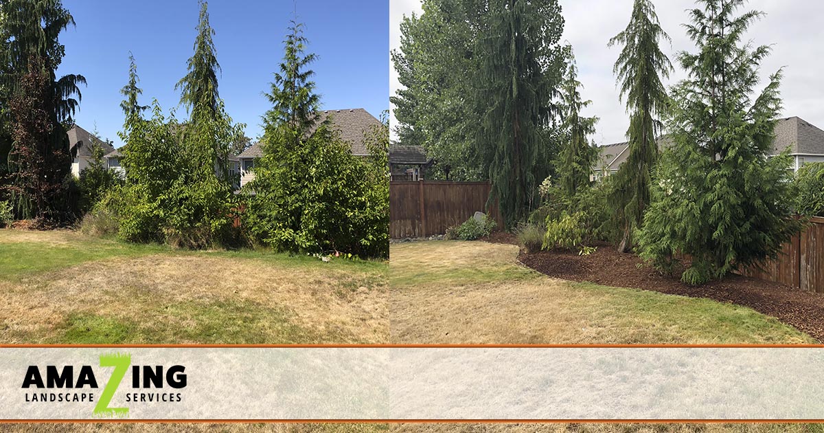 Our Work | Amazing Lawns