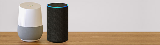 Pragmatic Blog | Basics Of Voice