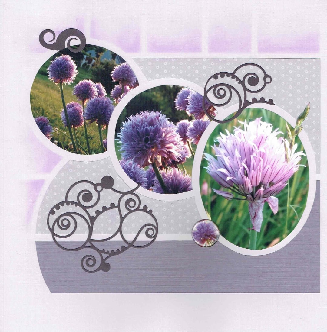 About AZZA Scrapbooking | AZZA Pacific