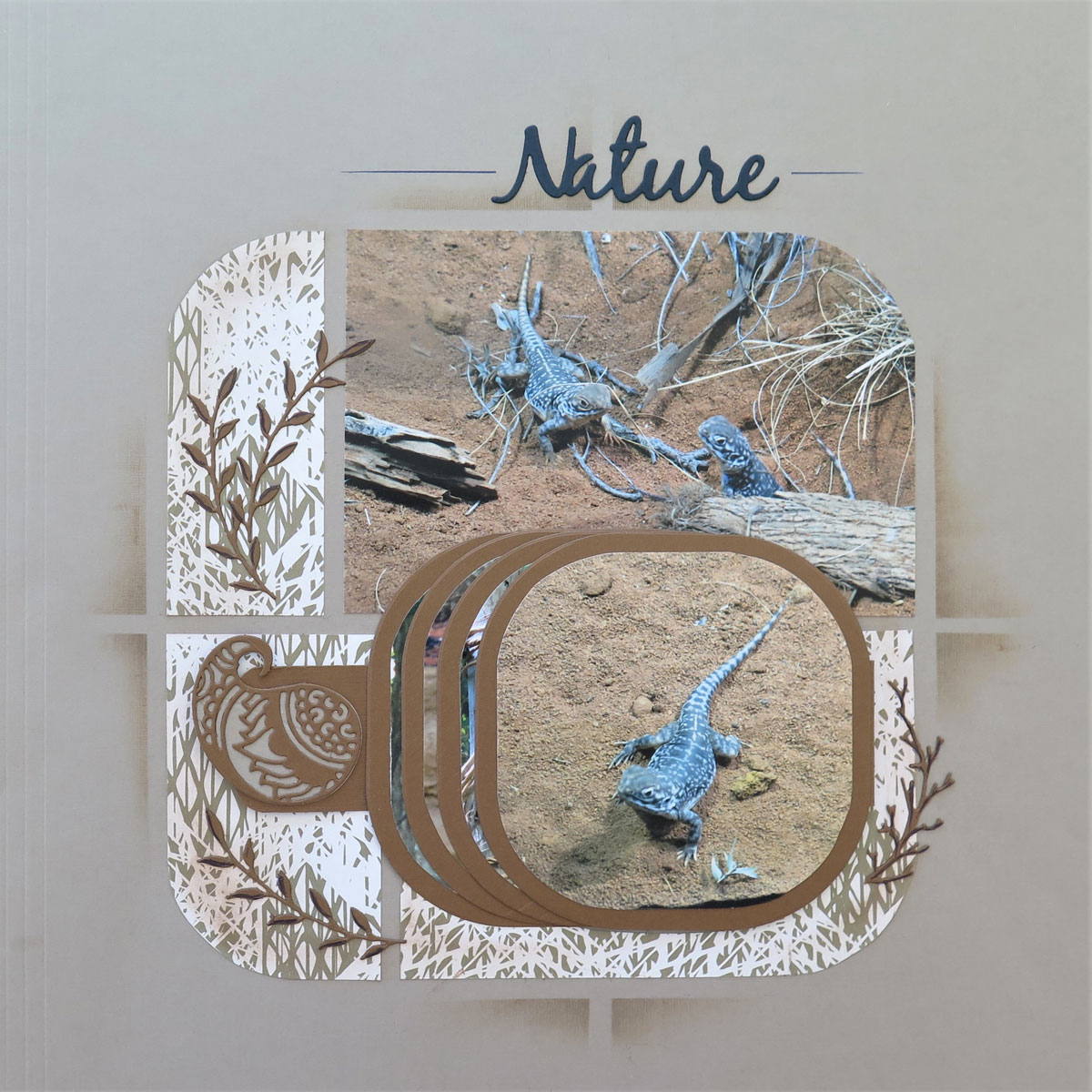 Bombay | AZZA Scrapbooking Galleries | AZZA Pacific Pty Ltd