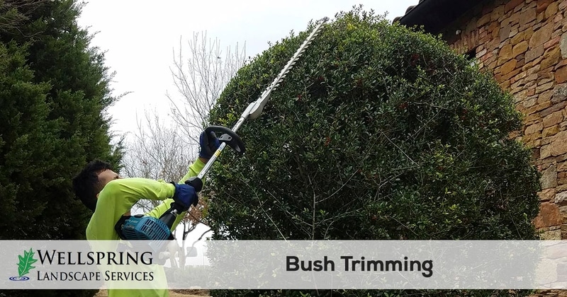Bush Trimming Service | Wellspring Landscape Services