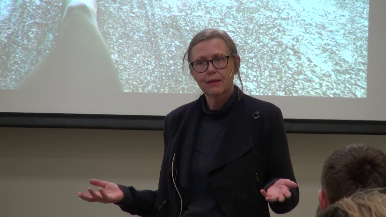 Alette Ottesen Kompetansemangfold i fysioterapien – undersøkelse av ...