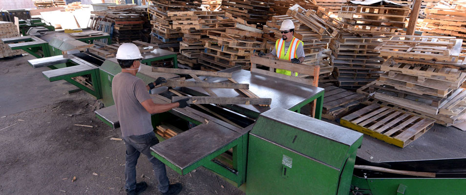 Recycled Pallet Vendors | Save Money & Save The Environment