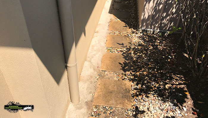 All About Chemical Termite Barriers | Suburban Pest