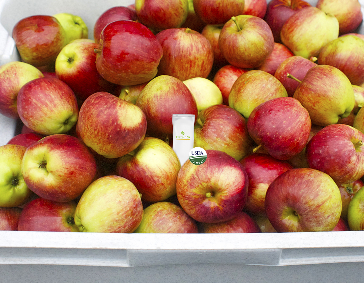 Hazel Technologies, Inc.