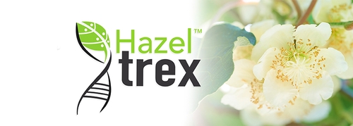 Hazel Technologies, Inc.