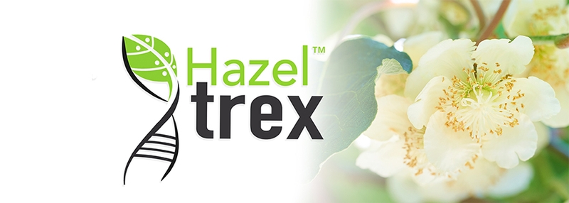 Hazel Technologies, Inc.