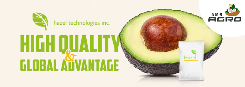 Hazel Technologies, Inc.