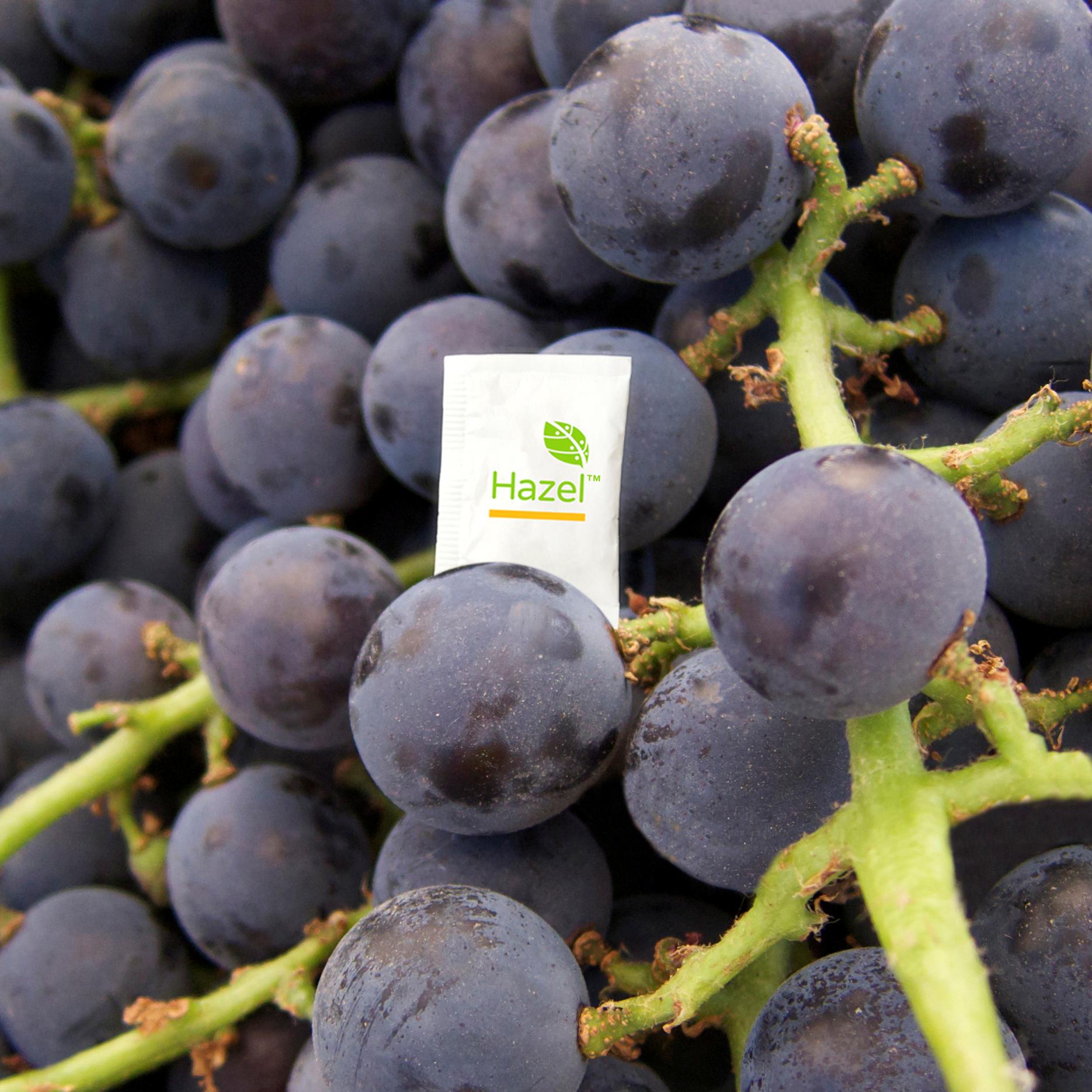 Hazel Technologies, Inc. - Products