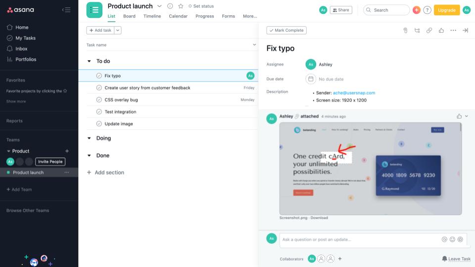 Asana + Usersnap | Manage Work with Visual Feedback