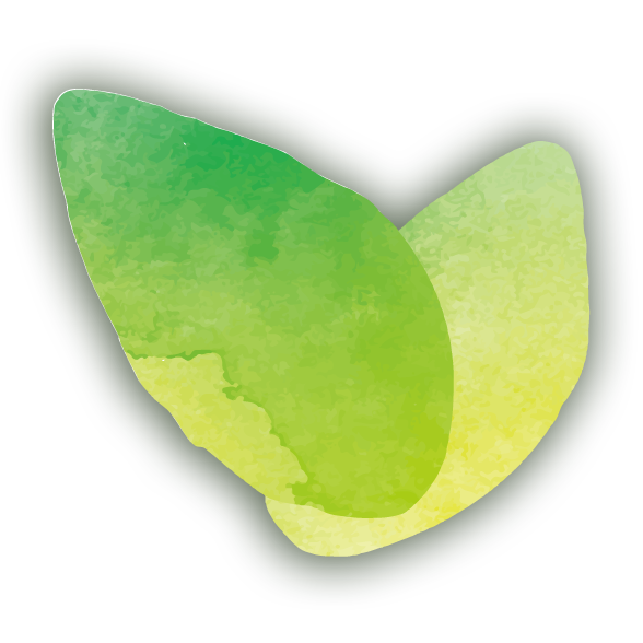 Presotea Canada | Ontario