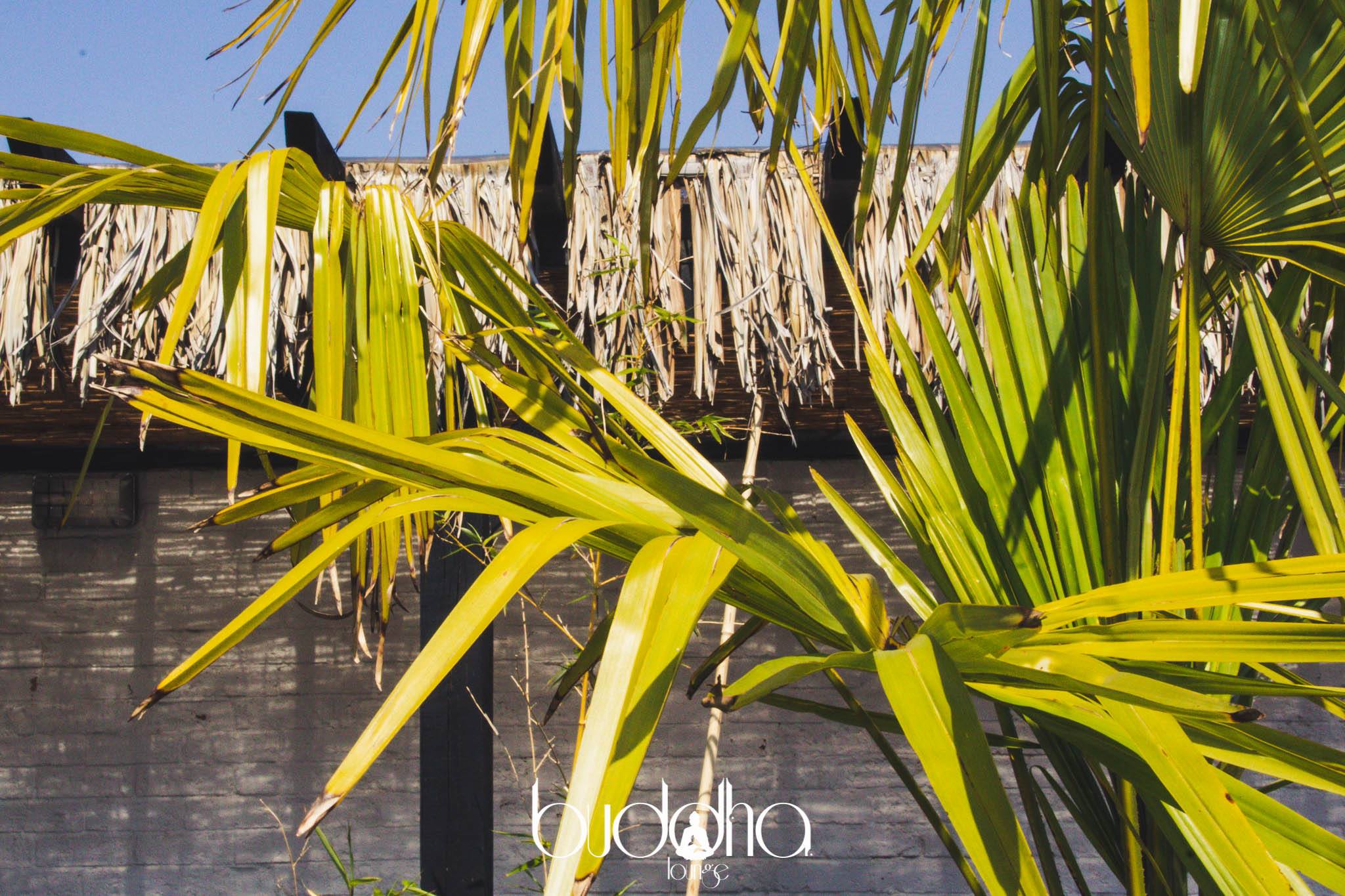 Lounge & Restaurant Bar In Southampton | Funky Flamingo