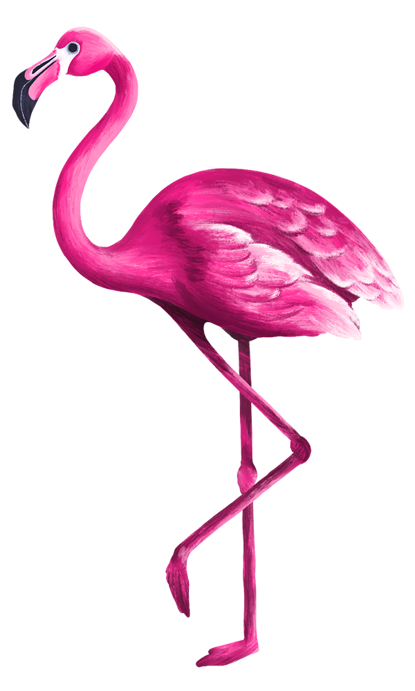 Lounge & Restaurant Bar In Southampton | Funky Flamingo