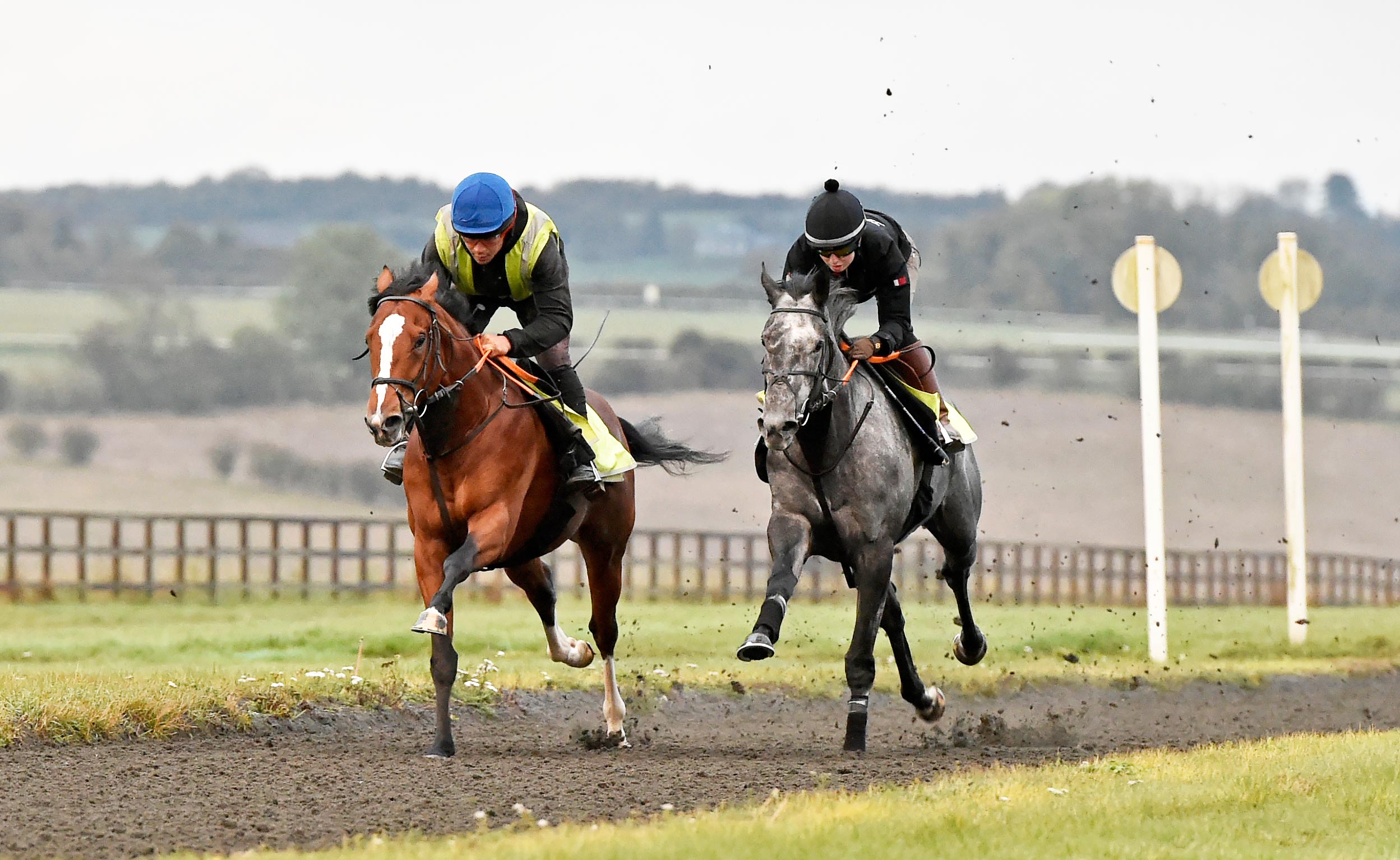 Home | Jamie Osborne - Bespoke Racehorse Trainer
