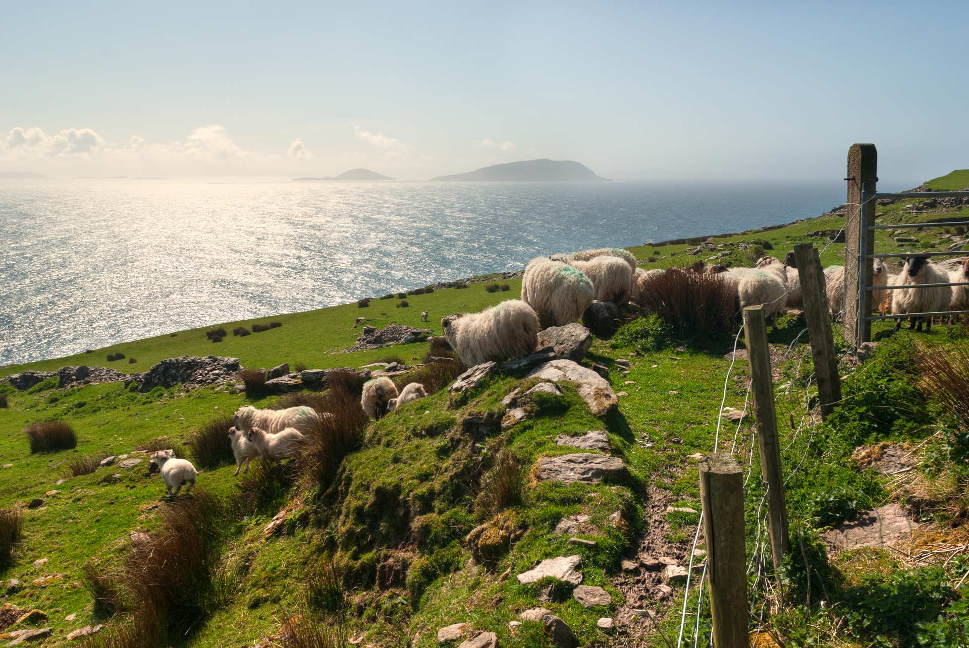 About our luxury holiday home rentals Dingle, Kerry, Ireland
